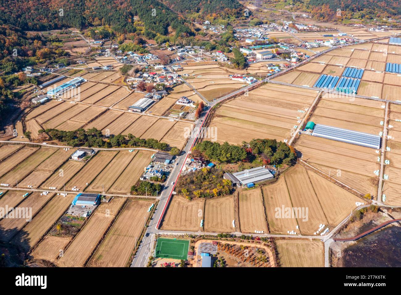 an aerial view of a reed field Stock Photo - Alamy