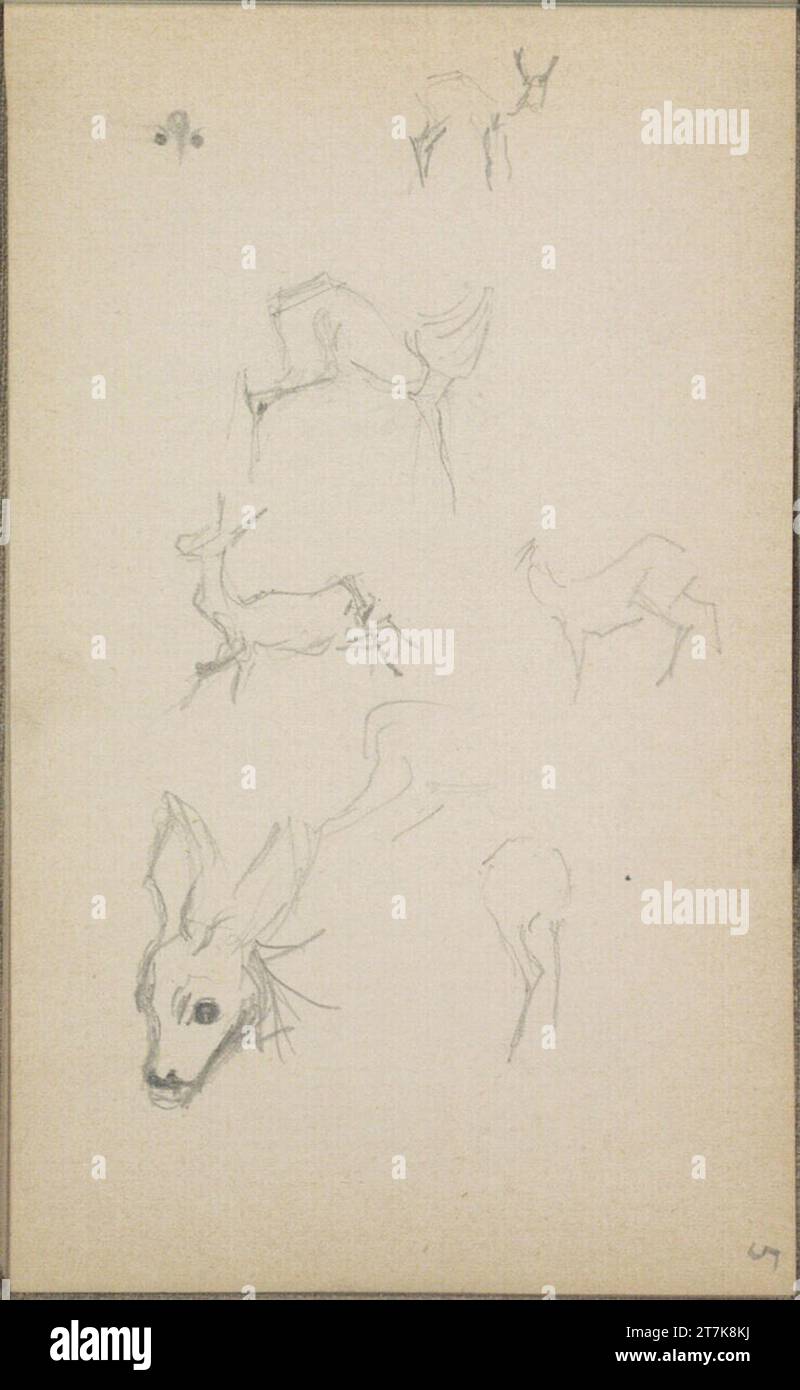 Deer drawings hi-res stock photography and images - Alamy