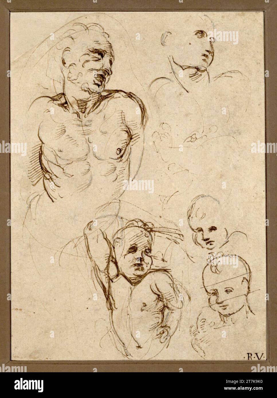 Raffaello Santi Study sheet. (Upper body of a bound bearded man ...