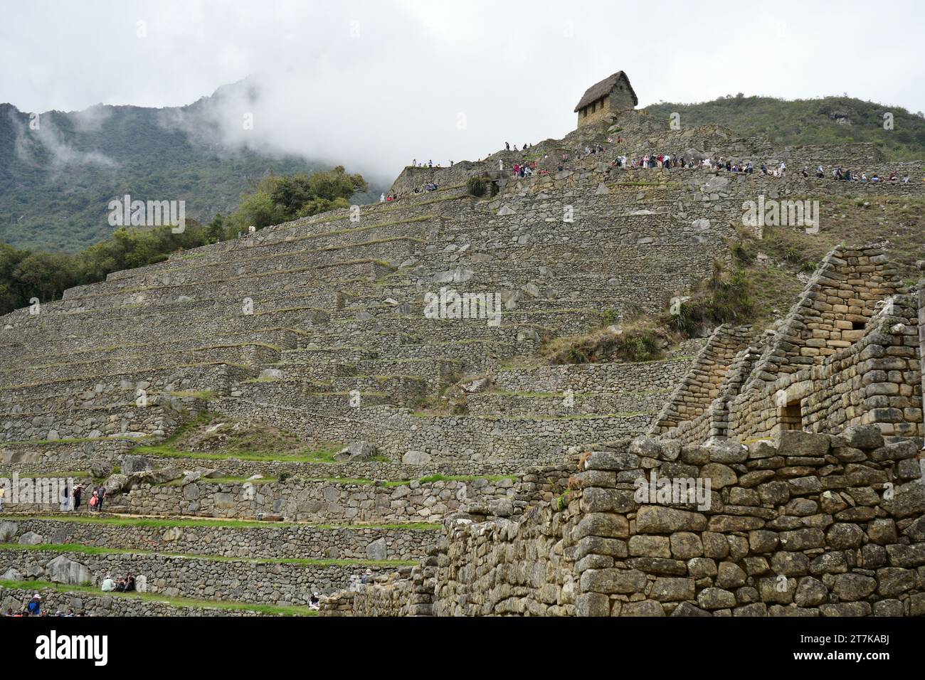 Machu Picchu, Peru, October 6, 2023. Terraces at The Ancient 15th ...