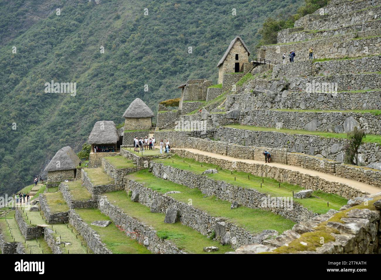Machu Picchu, Peru, October 6, 2023. Terraces at The Ancient 15th ...