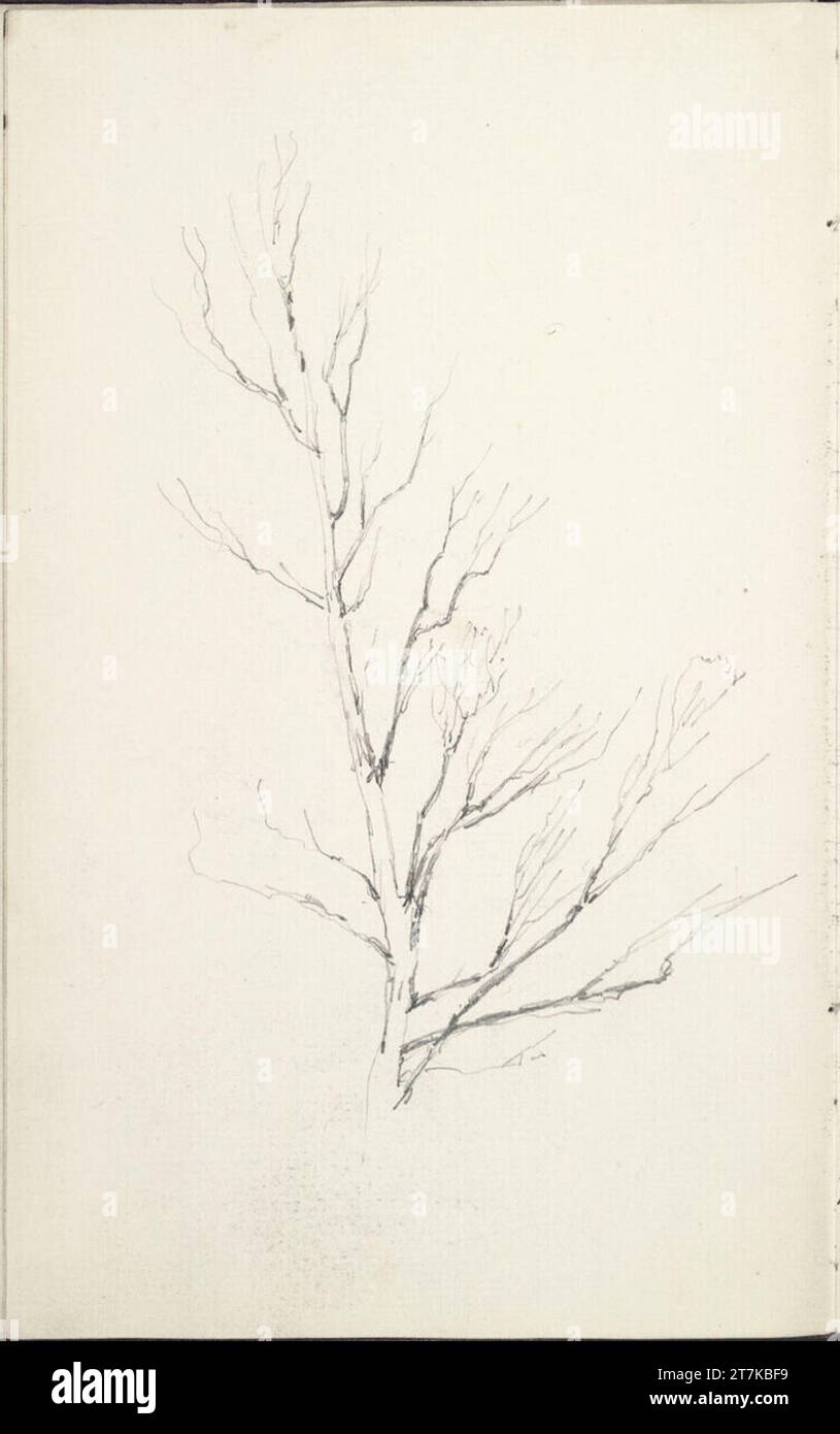 Theodor von Hörmann Tree studies. Pencil Sketchbook: 1876-1877 , 1876/ ...