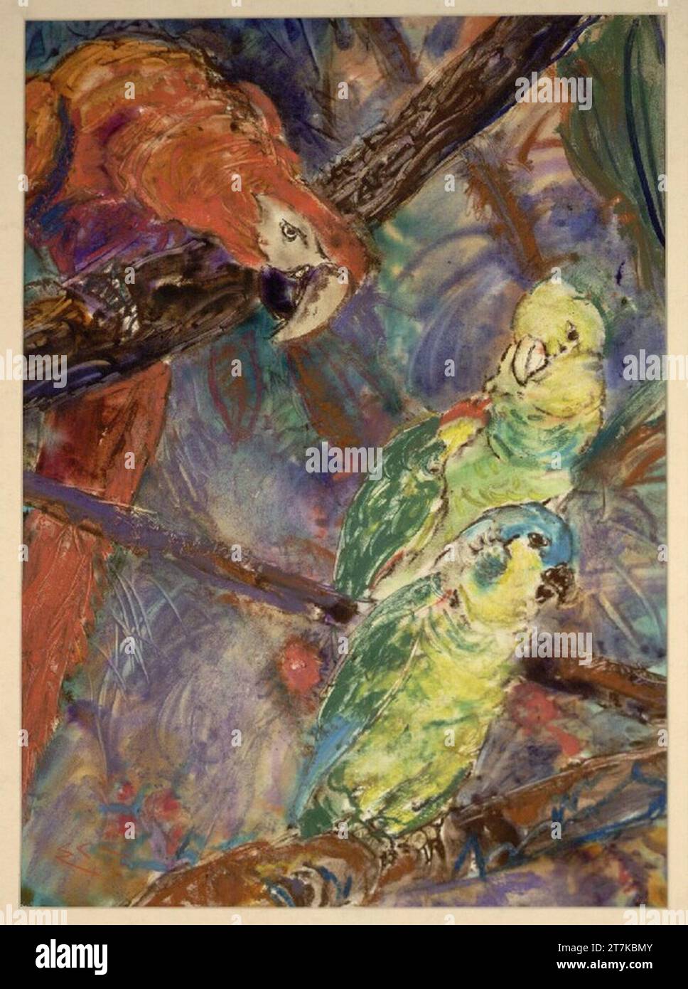 Ernst Beck Parrotes. Watercolor Stock Photo - Alamy