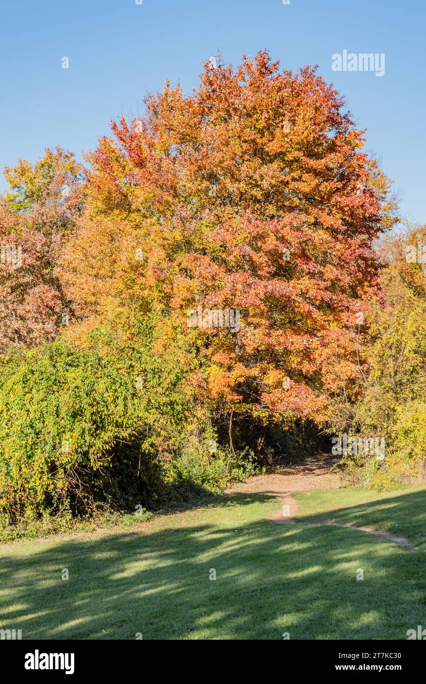A Fall Hike in Codorus State Park, Pennsylvania USA Stock Photo - Alamy
