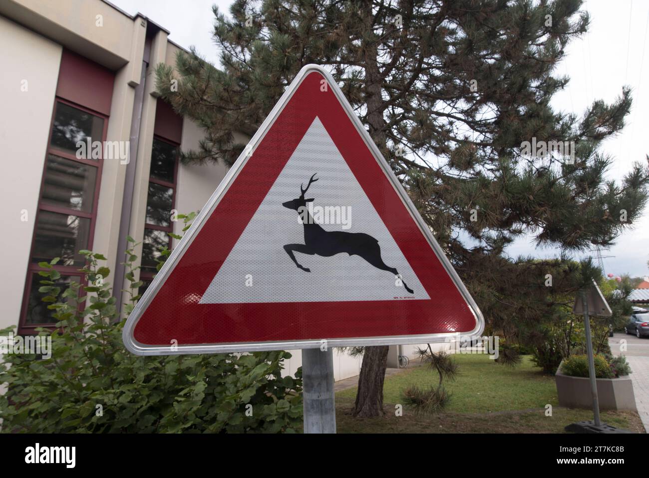 Attention animal crossing traffic or road sign, red triangle as warning ...