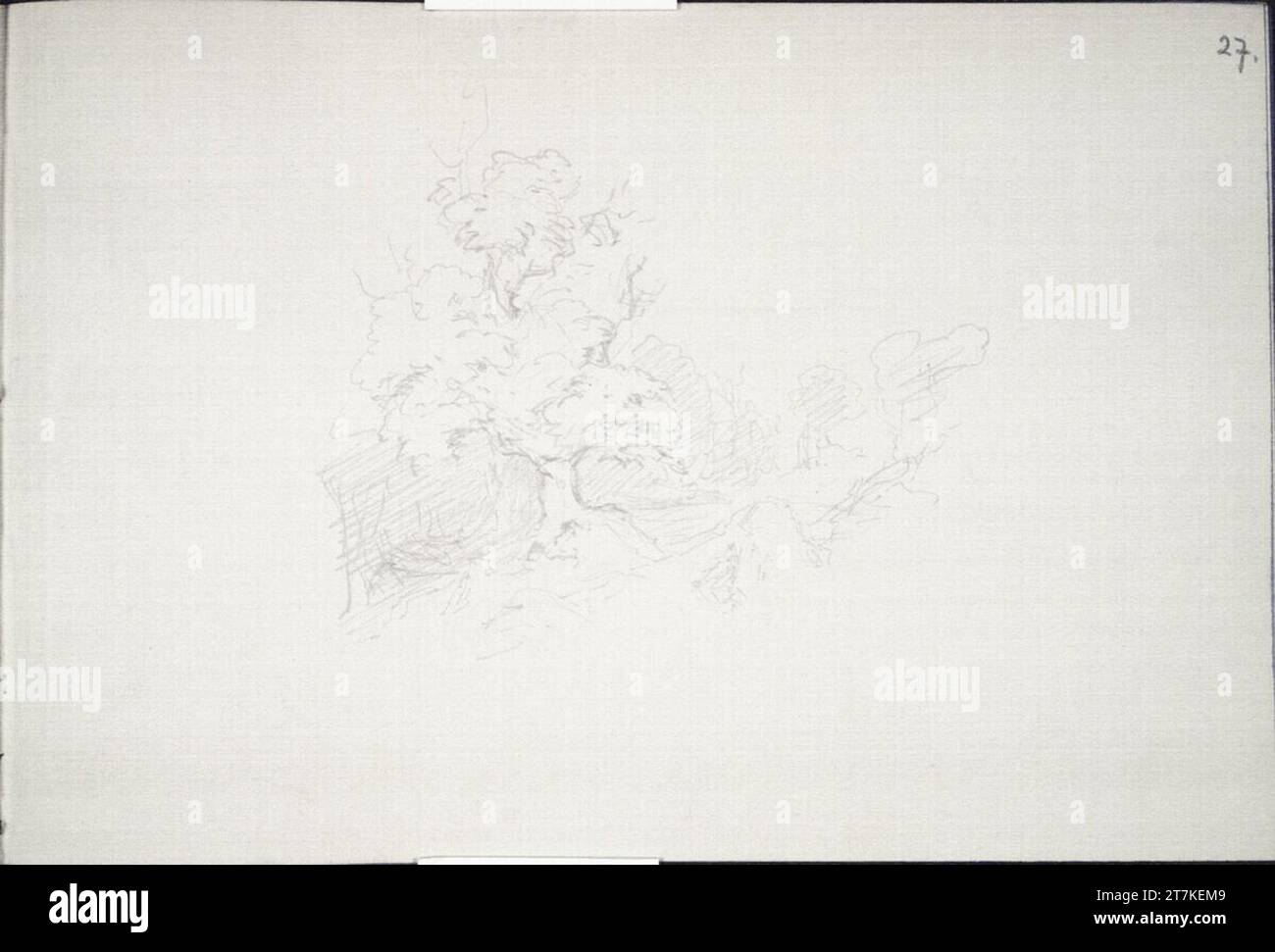 Carl Schuch Forest study with beech. Pencil around 1868 Stock Photo - Alamy