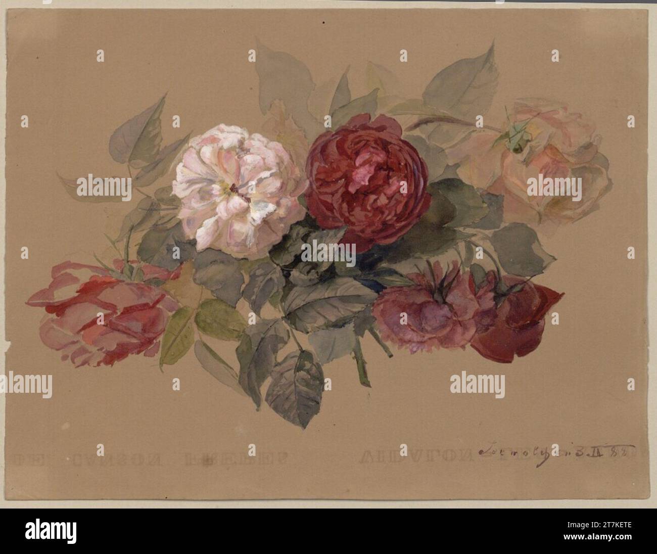 Marie Lippert-Hoerner Six roses as a bouquet. Pencil designation ...