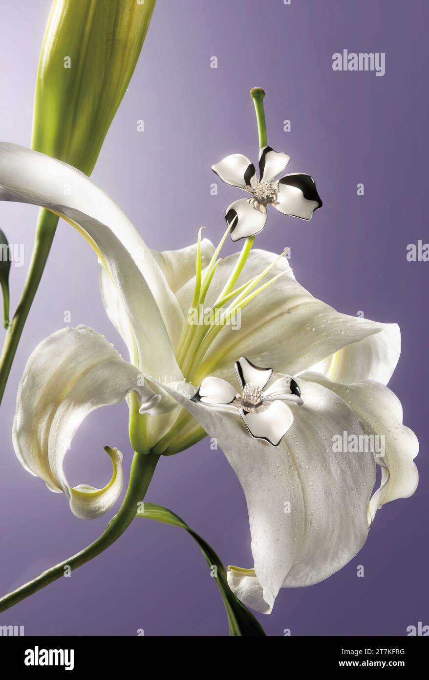 Professional product display backgrounds, Clean product photography ...