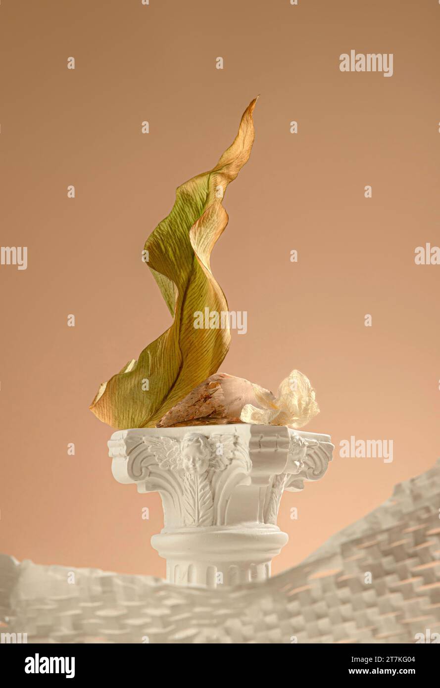 Professional product display backgrounds, Clean product photography ...