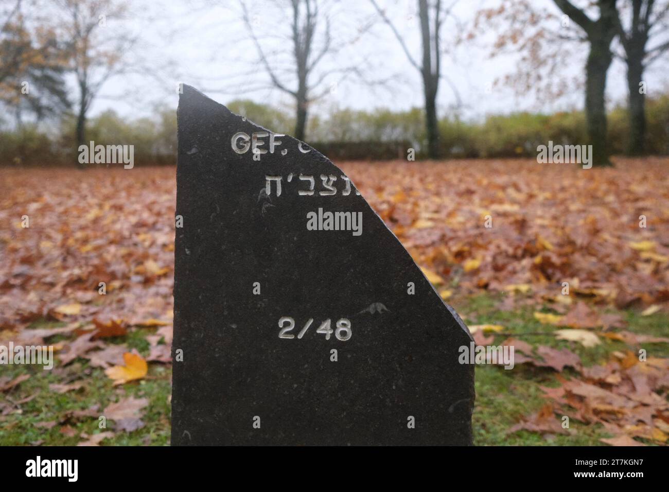 A damaged Jewish gravestone in a German World War I military cemetery ...
