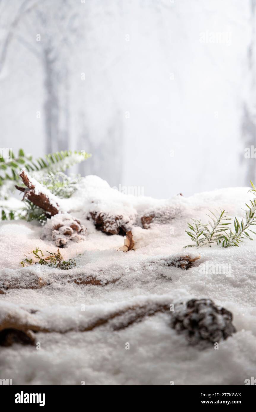 Product backdrop designs, Product showcase backdrop, Product ...