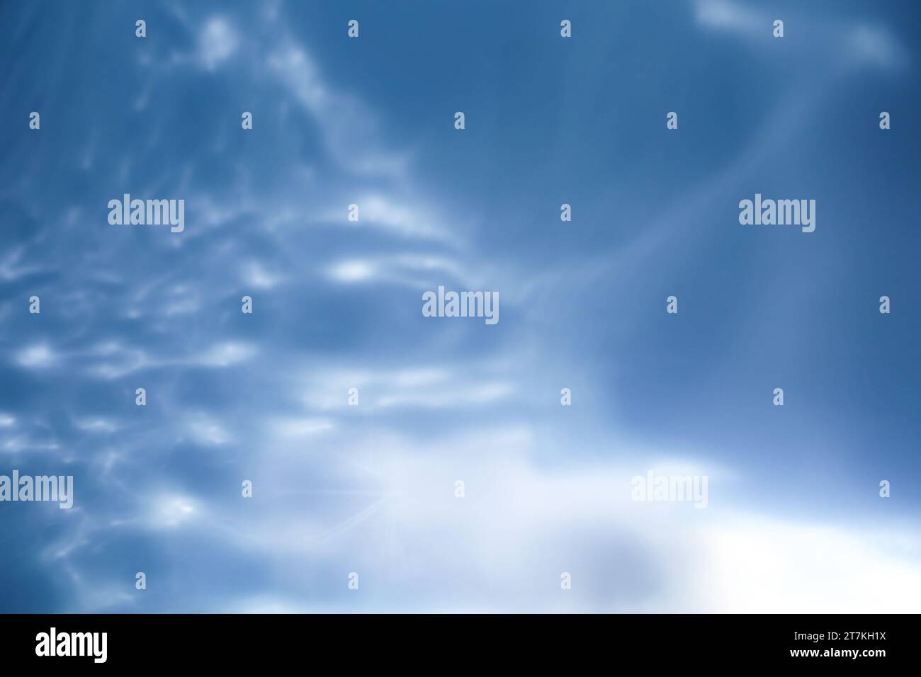 Product backdrop designs, Product showcase backdrop, Product ...