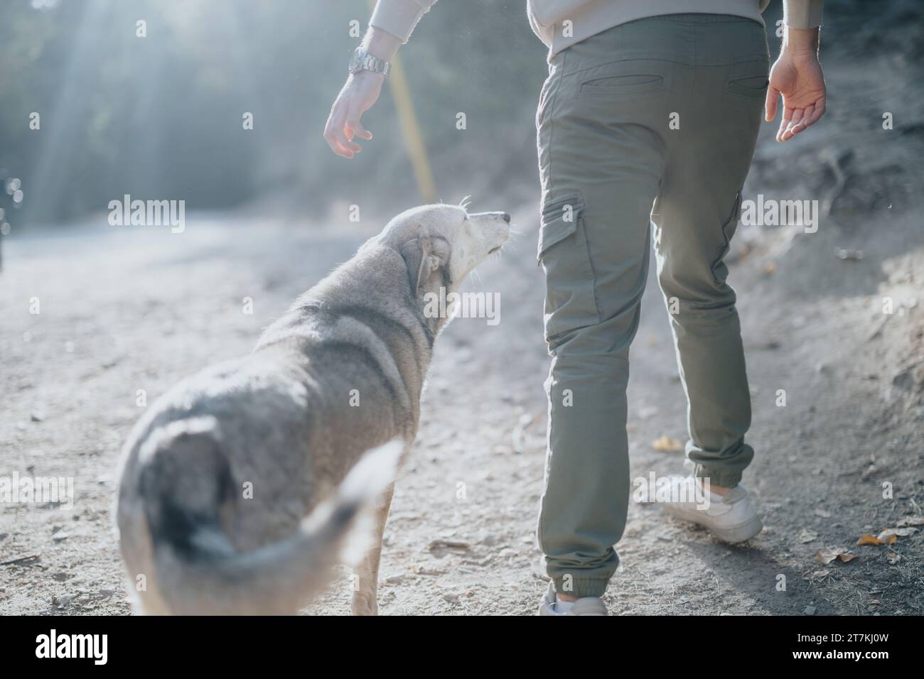 Male friends caressing dog hi-res stock photography and images - Alamy