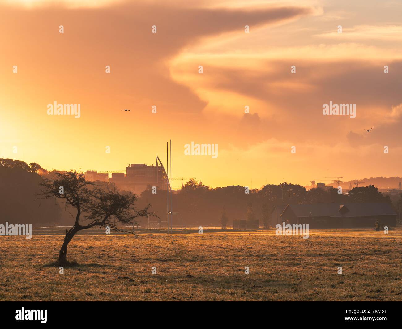 Golden hour in the Phoenix Park on a late October morning Stock Photo ...