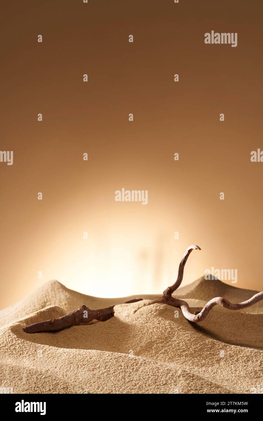 Product demonstration backdrops, Product advertising background ...