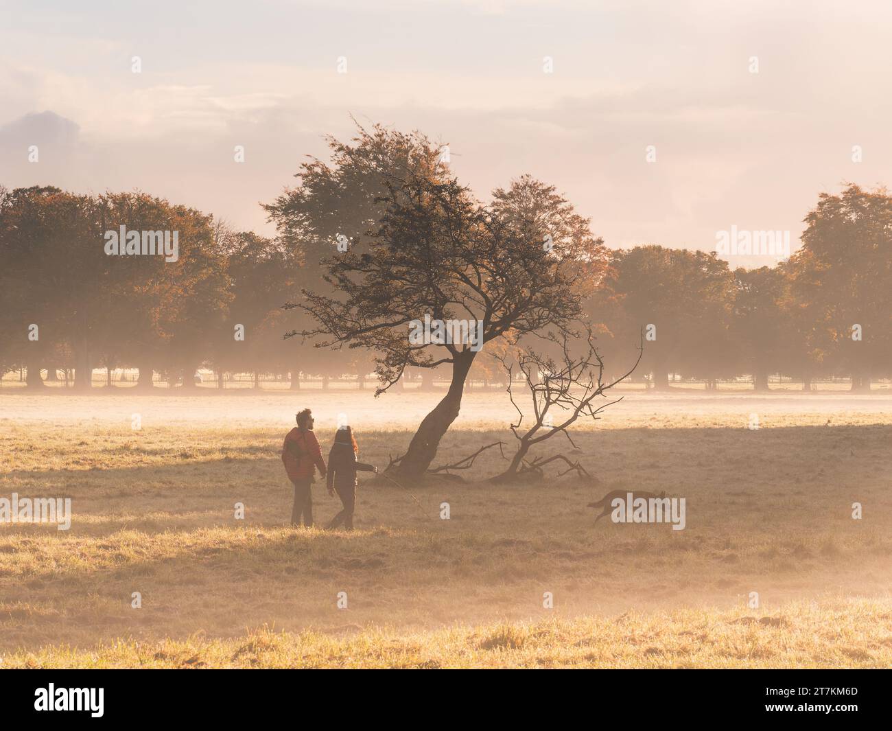 Patchy mist hi-res stock photography and images - Alamy