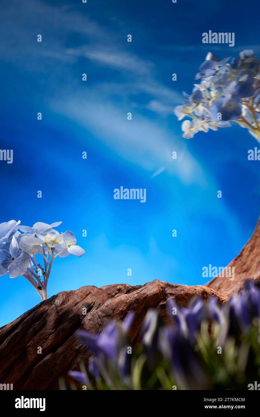 Product demonstration backdrops, Product advertising background ...