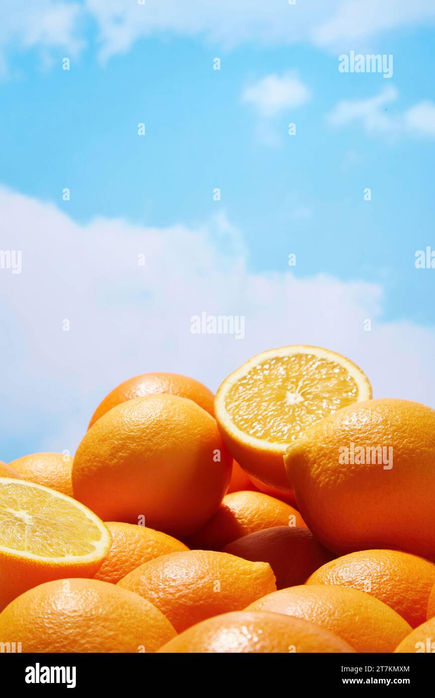 Product branding backdrops, Commercial product photography backdrop ...