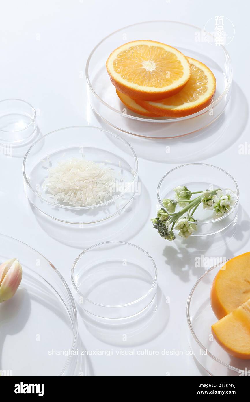 Product branding backdrops, Commercial product photography backdrop ...