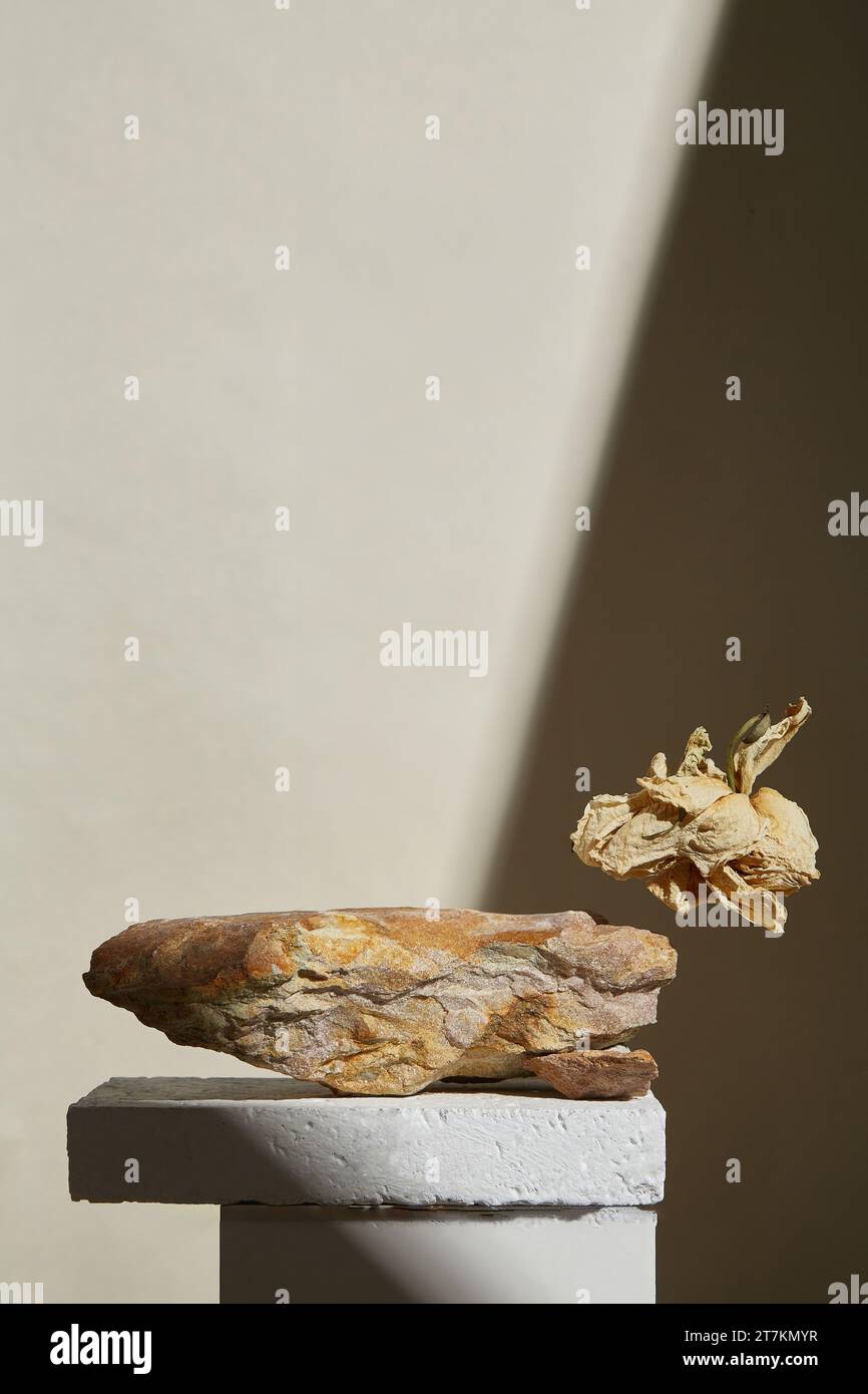 Product branding backdrops, Commercial product photography backdrop ...