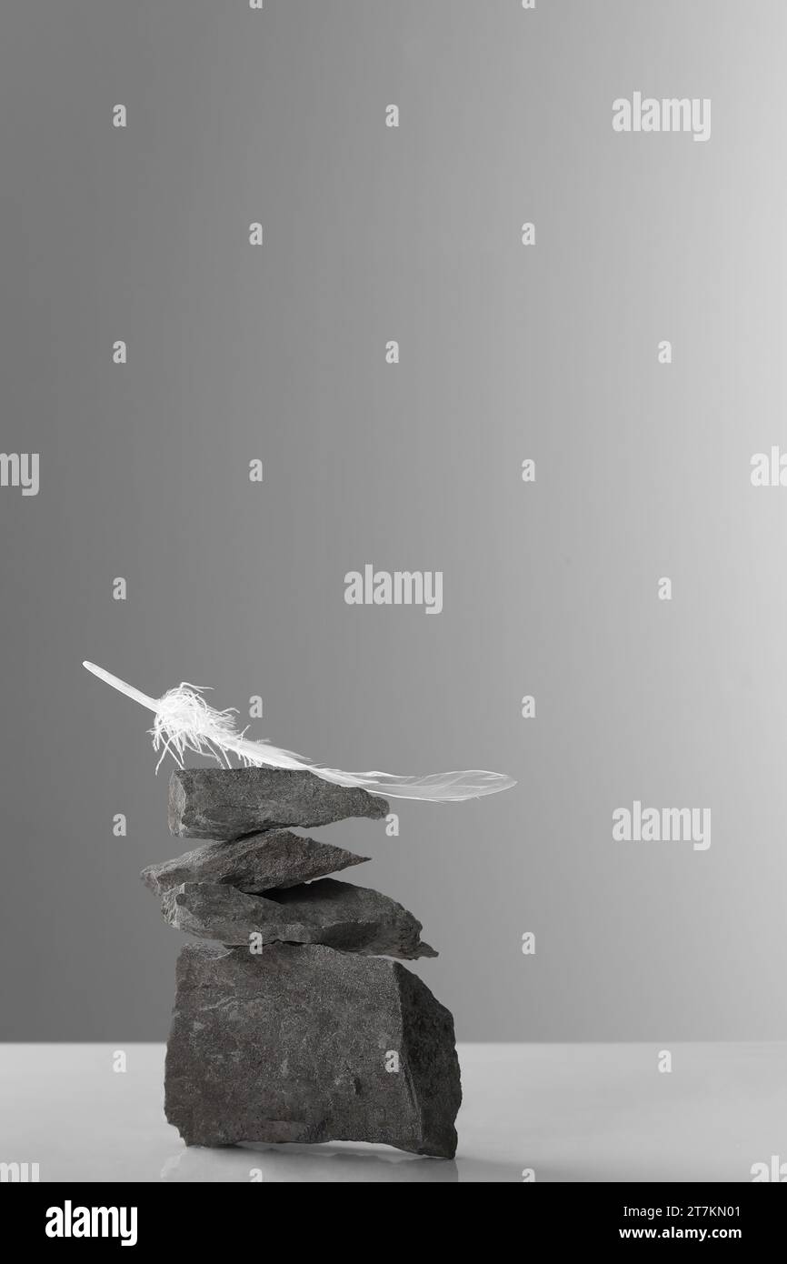 Product branding backdrops, Commercial product photography backdrop ...