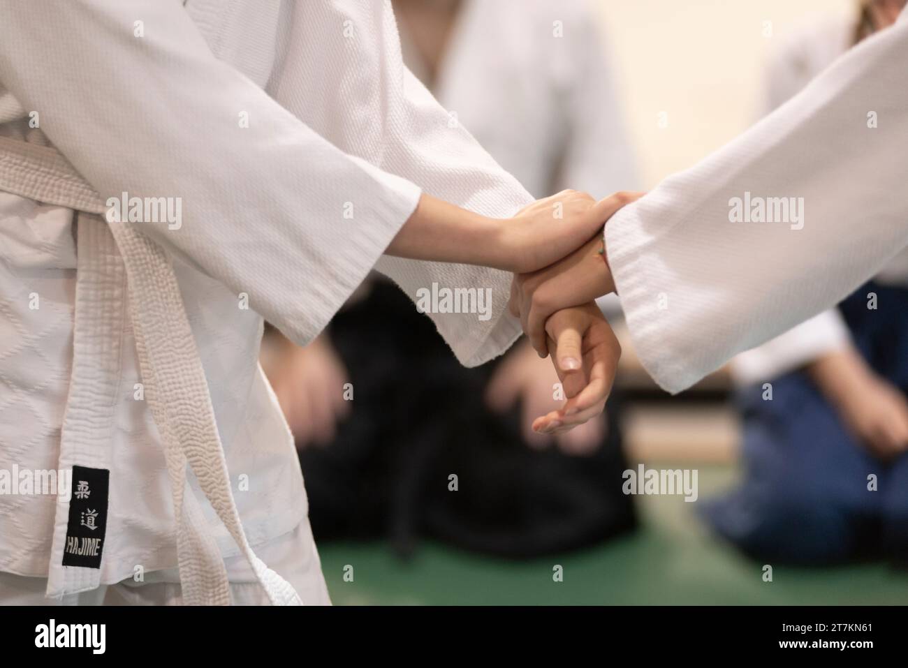 Aikido harmony hi-res stock photography and images - Alamy