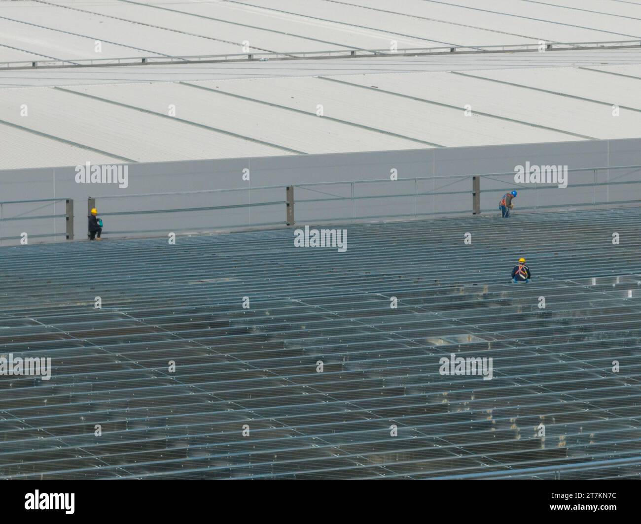 HEFEI, CHINA - NOVEMBER 16, 2023 - Workers build a steel structure ...