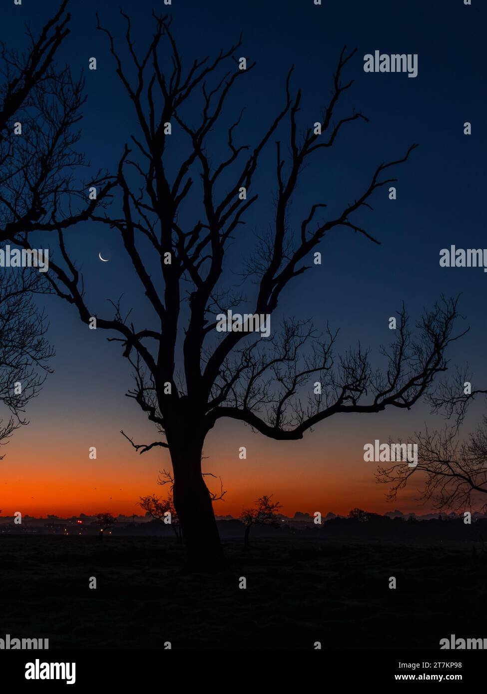 Crescent moon and dawn colours in the Phoenix Park Stock Photo - Alamy