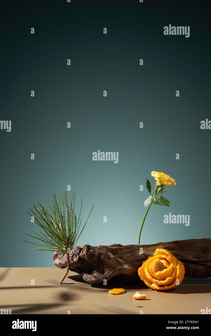 Product exhibit backgrounds, Product shoot background, Product display ...