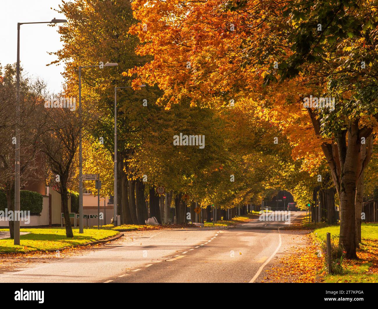 Auburn colours hi-res stock photography and images - Alamy