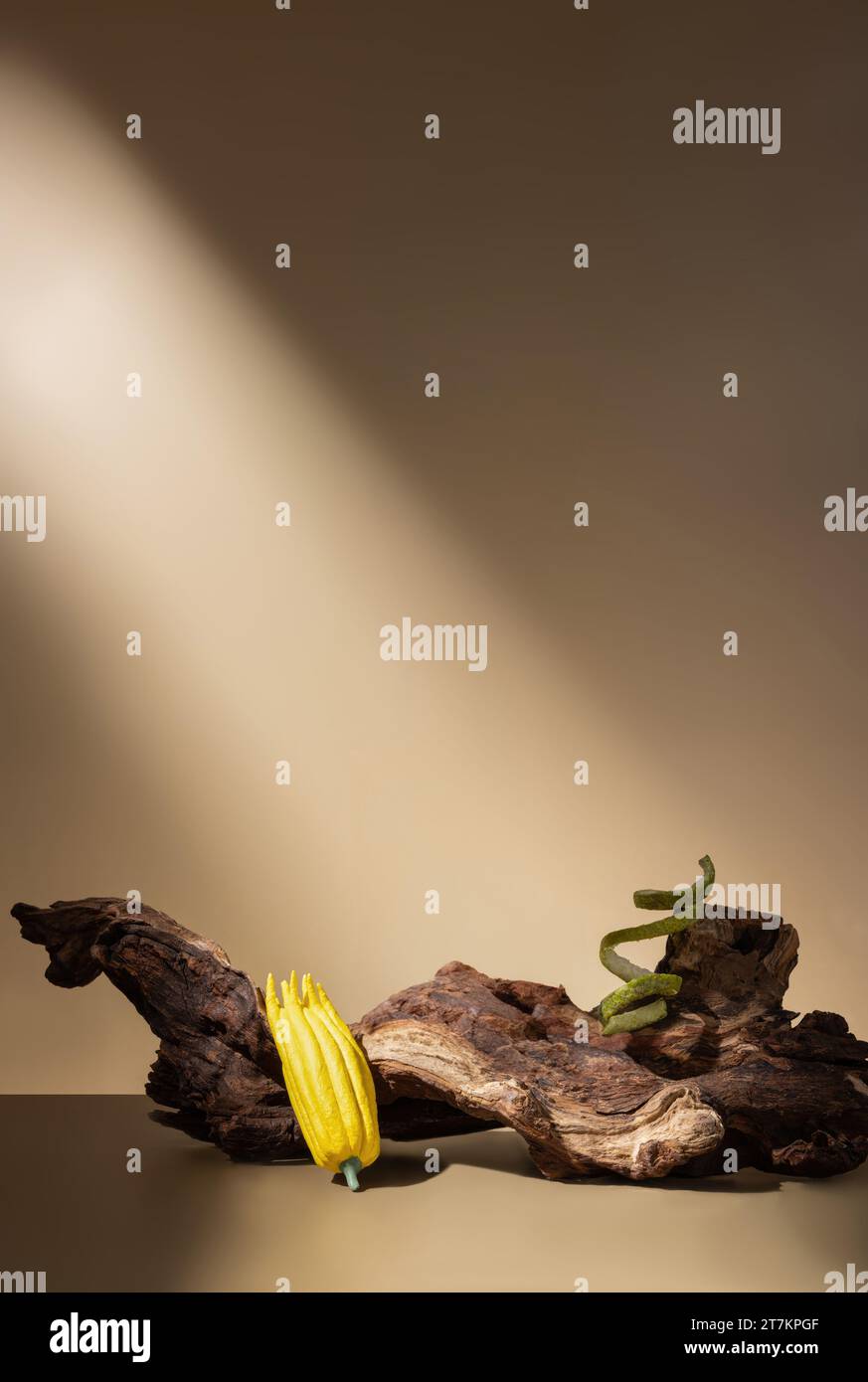 Product exhibit backgrounds, Product shoot background, Product display ...