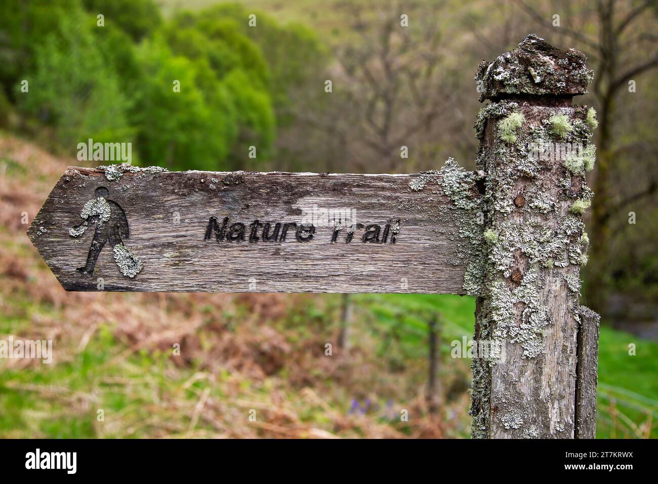 Lichen Covered Nature Trail Signpost Stock Photo - Alamy
