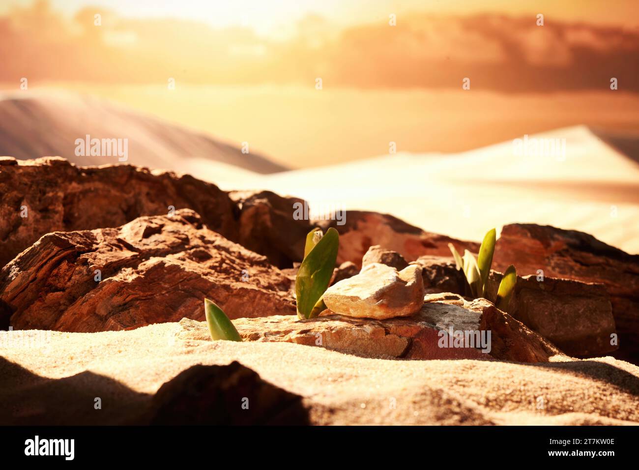 Product promotion backgrounds, Product display backdrop, Clean product ...