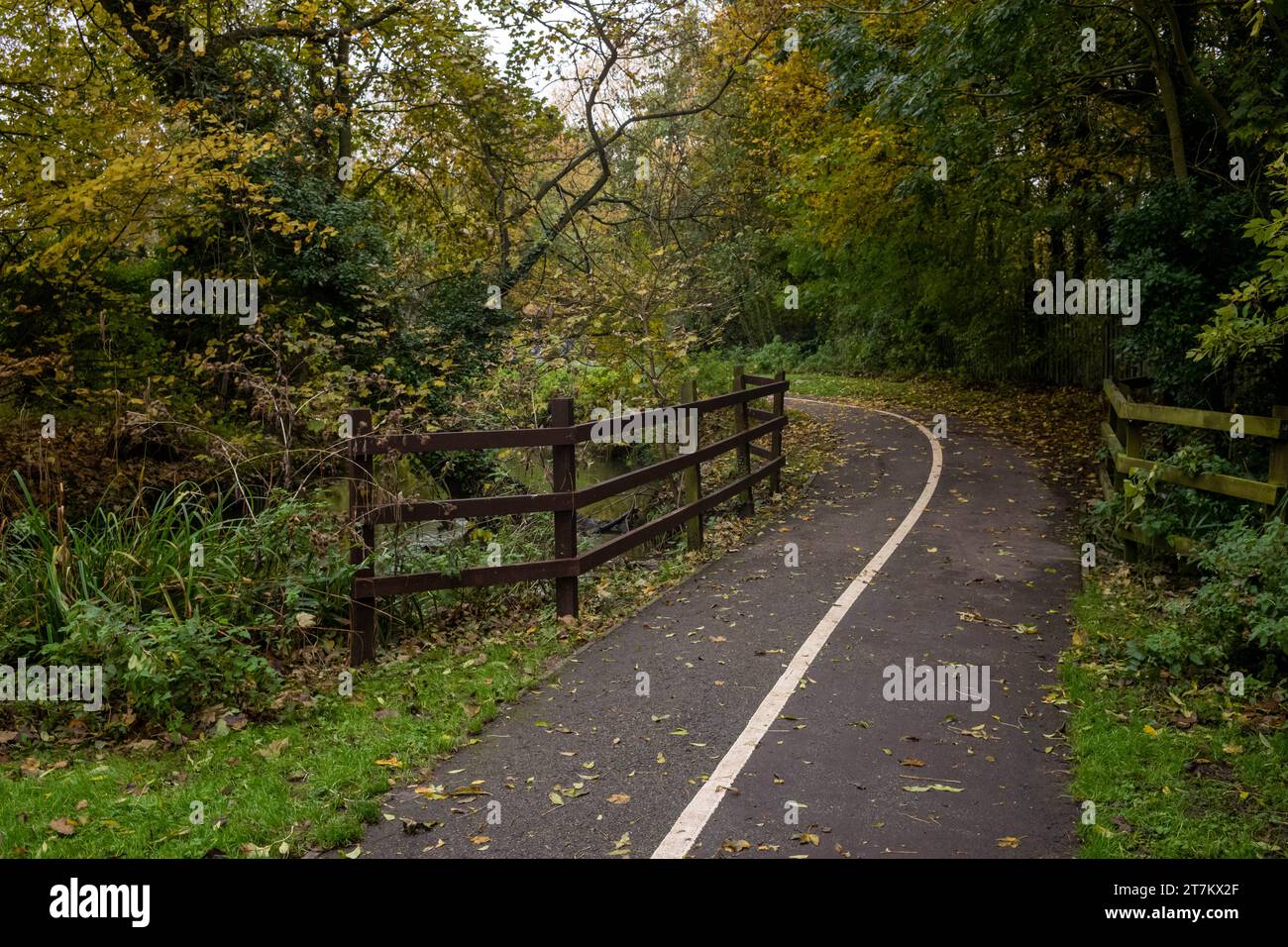 River Walk, Witham Stock Photo - Alamy