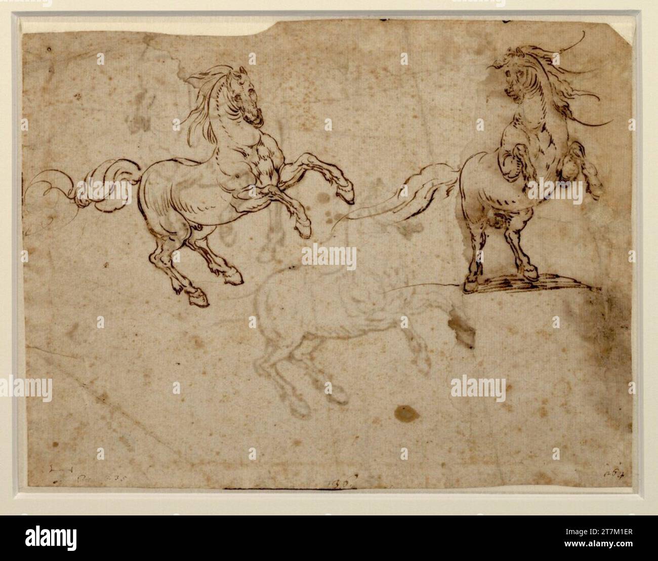 Jacques Callot A rearing up, a ride horse about it. Feder, pipe feather ...