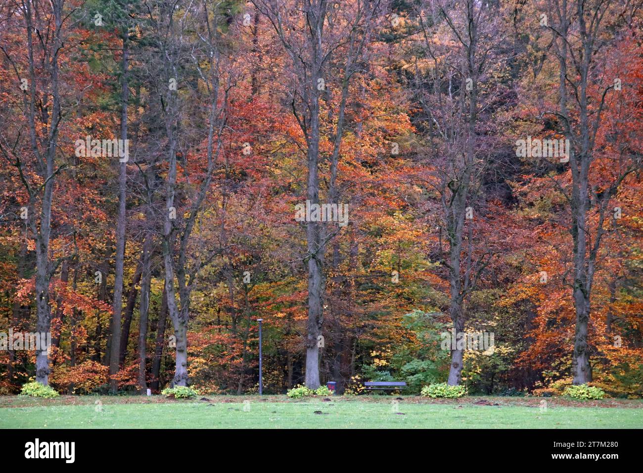 Herbst-Feature: Der Volkspark in Hamburg Mitte November2023 *** Autumn ...