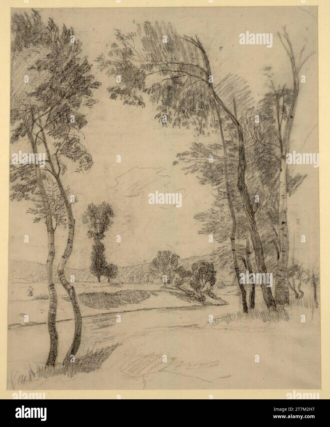 Anton Nowak Landscape with birches. Pencil Stock Photo - Alamy
