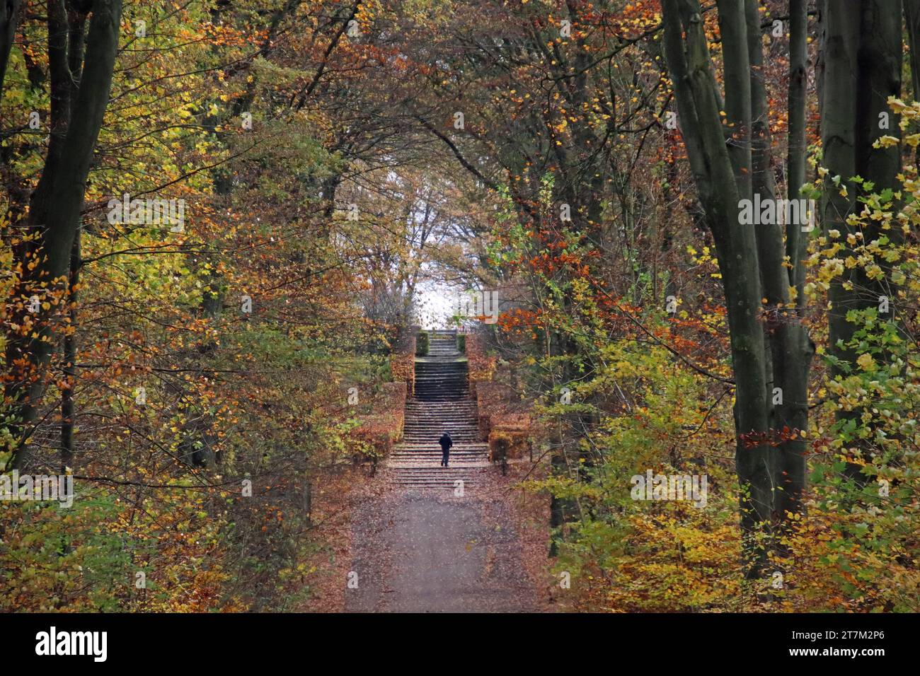 Herbst-Feature: Der Volkspark in Hamburg Mitte November2023 *** Autumn ...