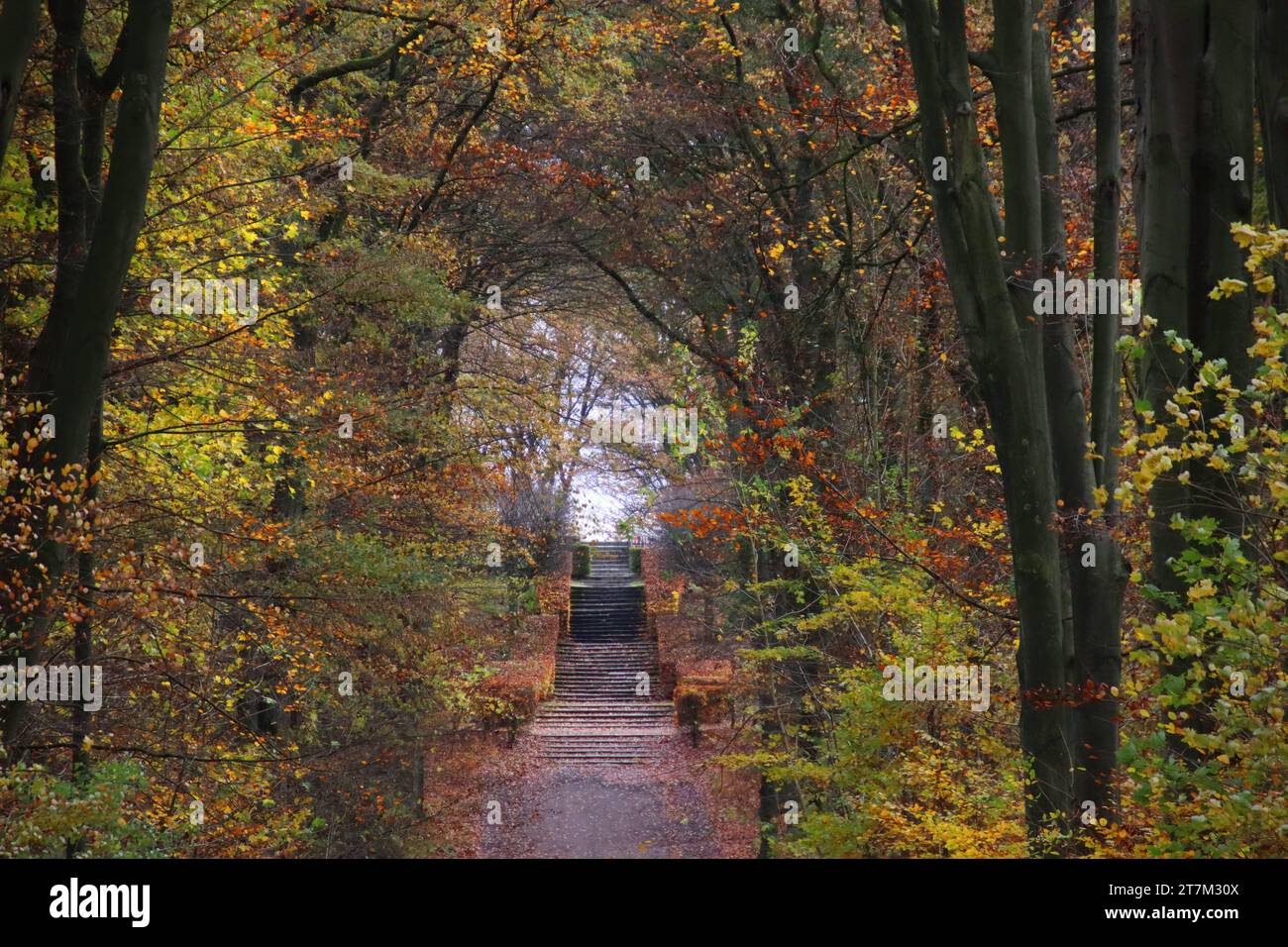 Herbst-Feature: Der Volkspark in Hamburg Mitte November2023 *** Autumn ...