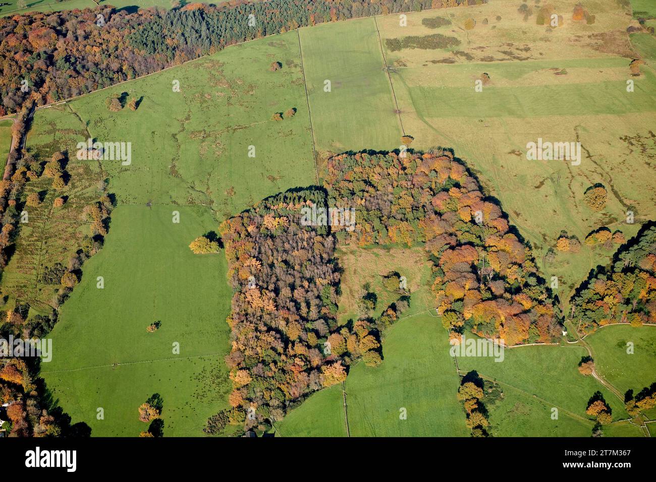 Autumn colours on a hillside near Longridge,North West England, UK ...