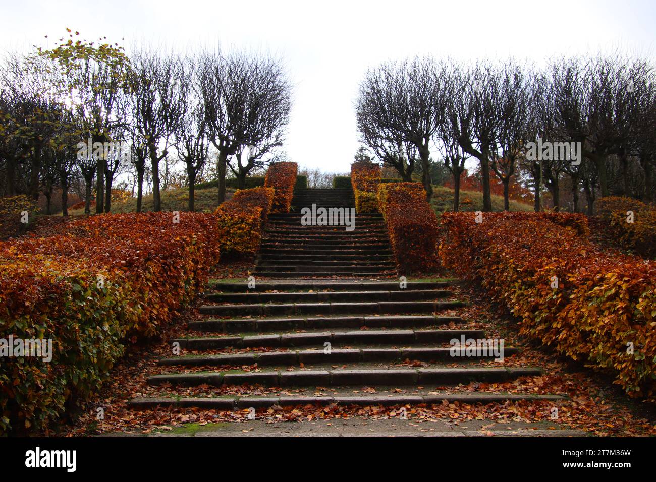 Herbst-Feature: Der Volkspark in Hamburg Mitte November2023 *** Autumn ...