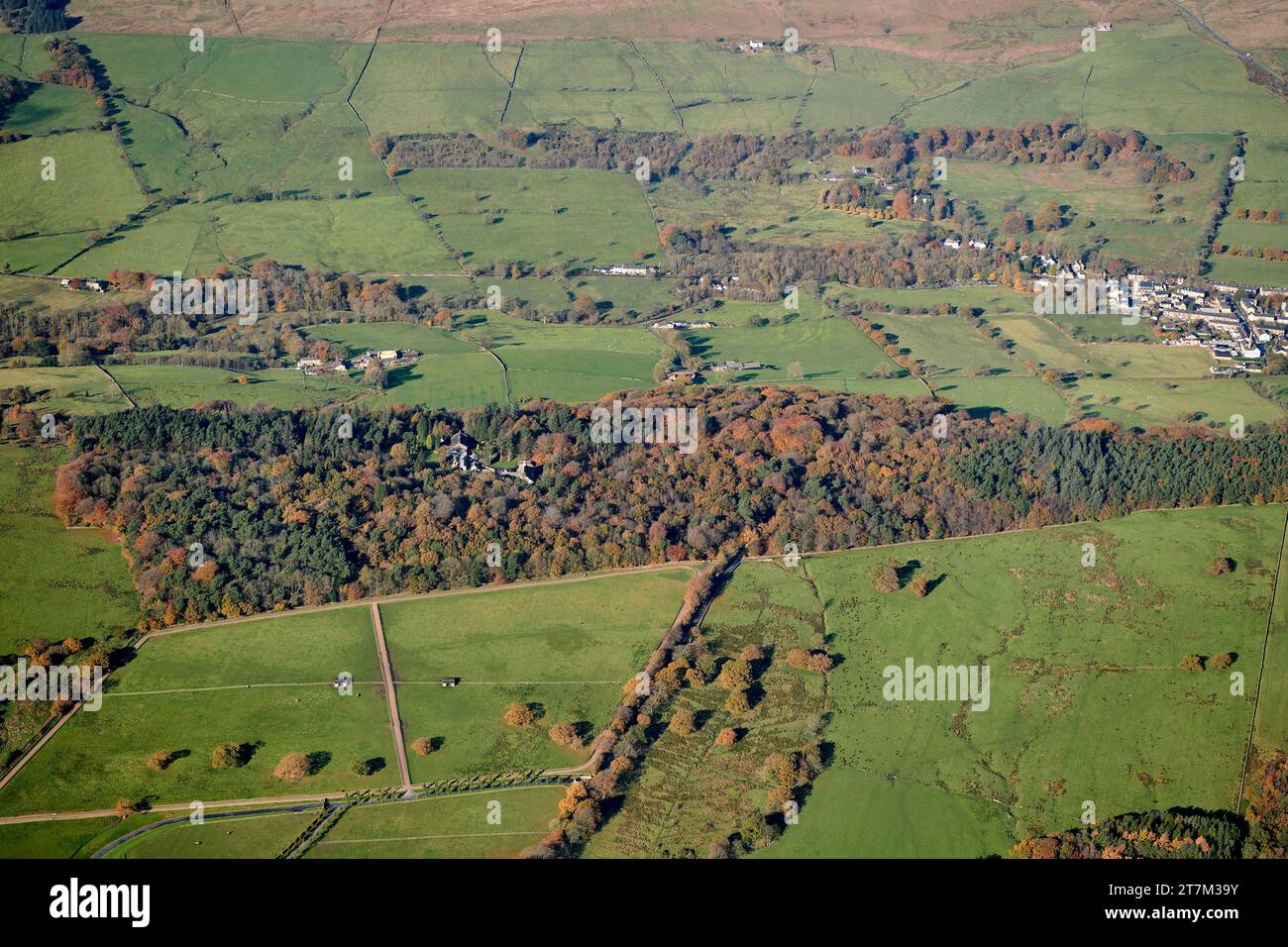 Autumn colours on a hillside near Longridge,North West England, UK ...