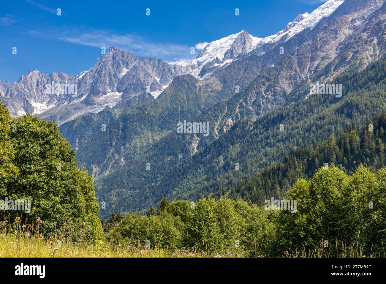 Chamonix mountain peaks summits from Col de Voza beautiful summer ...