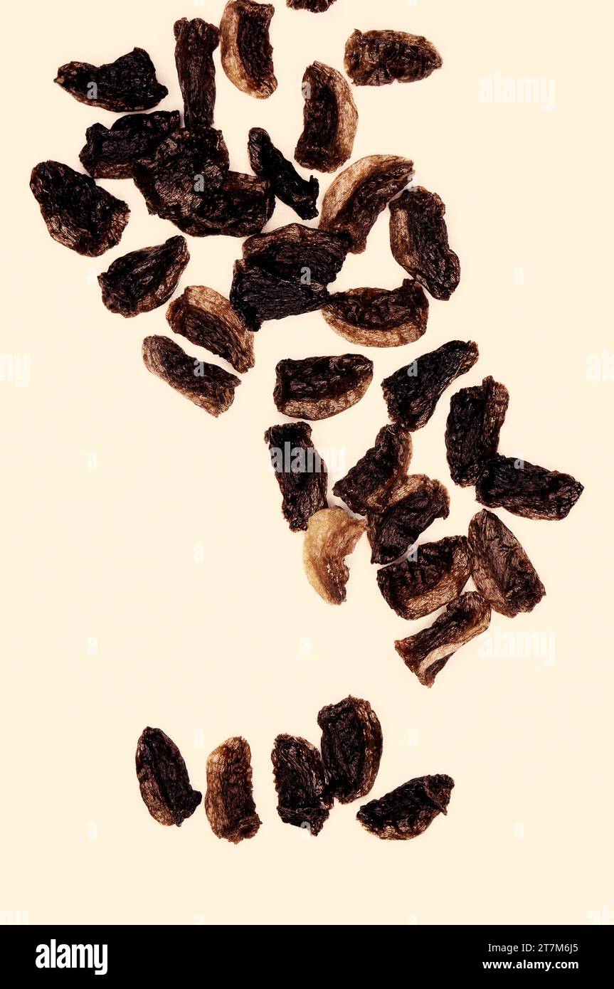 Highly poisonous seeds hi-res stock photography and images - Alamy