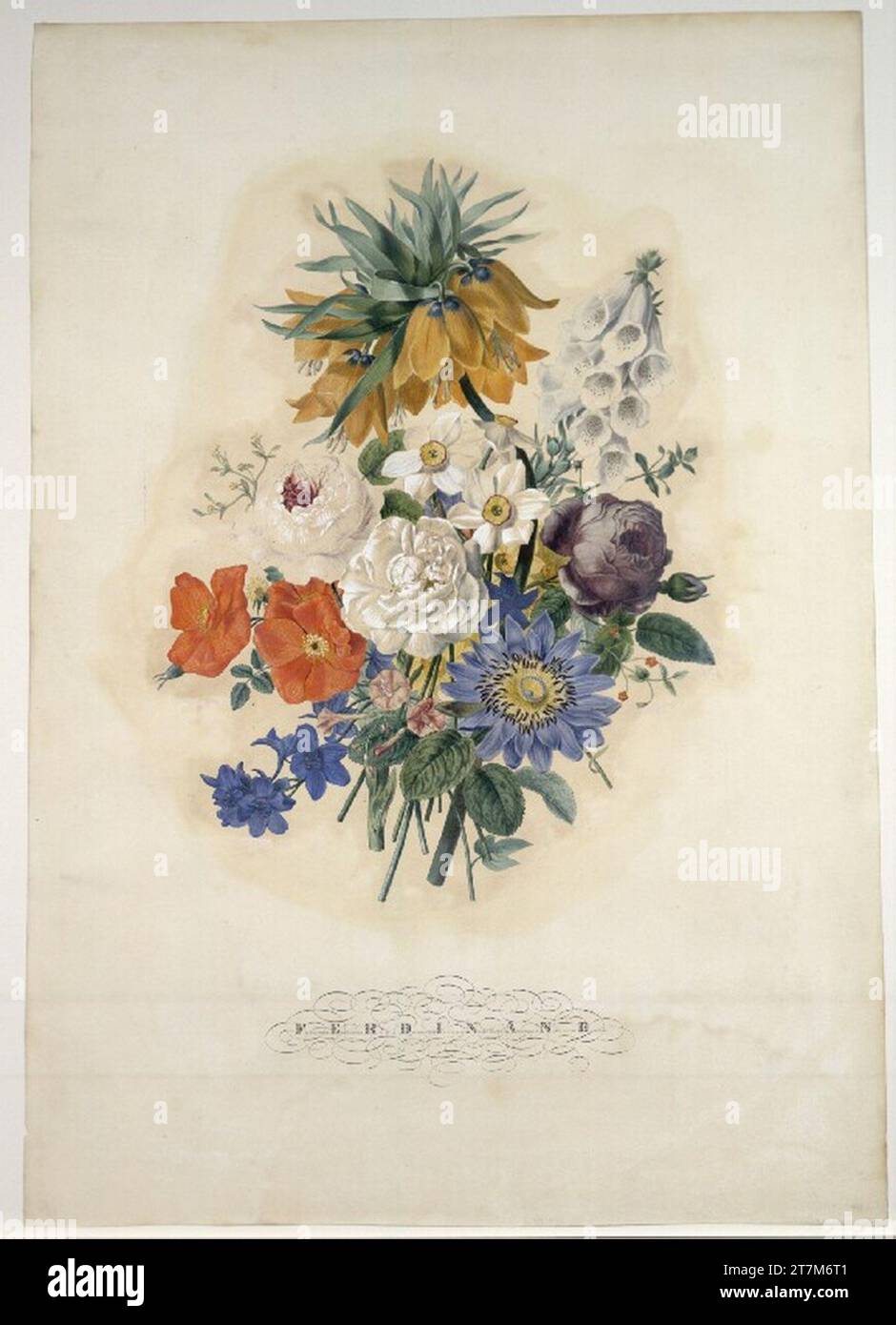 Josef August Satory Ferdinand (piece of flowers). Lithography, colored ...