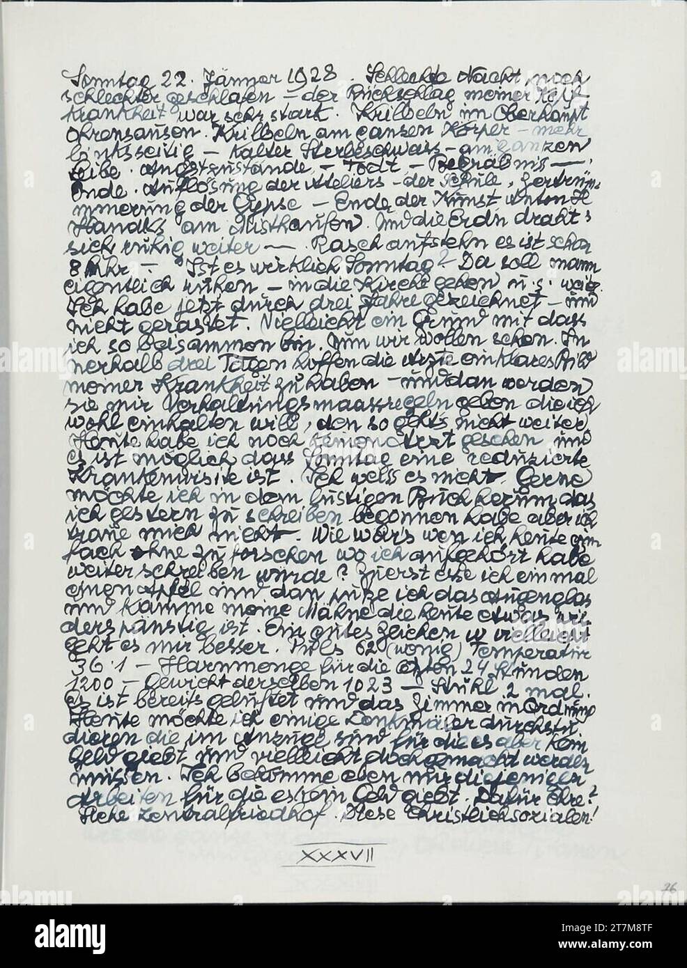 Anton Hanak Hospital of the City of Vienna in Lainz (diary entries from ...