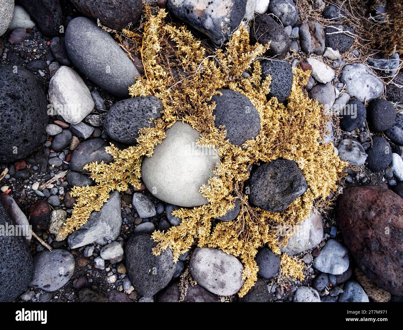 Notion de texture hi-res stock photography and images - Alamy