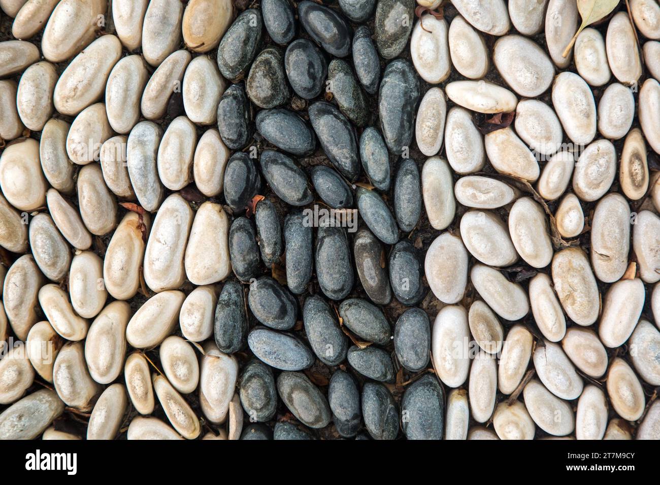 Background round smooth stones pebbles and shell rock Stock Photo - Alamy