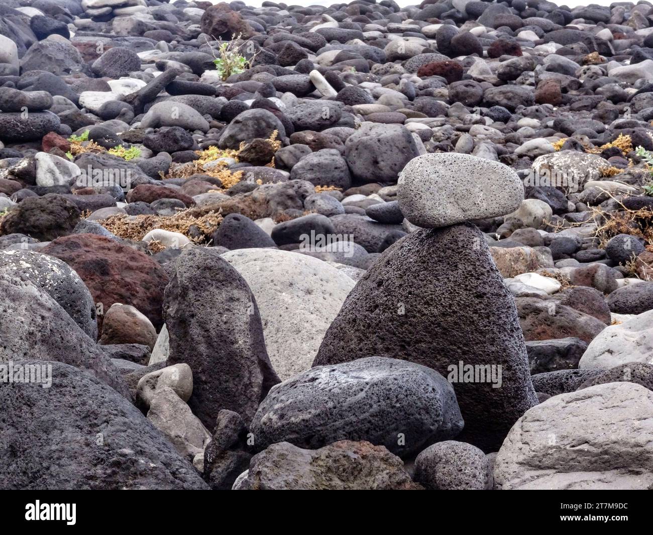 Notion de texture hi-res stock photography and images - Alamy
