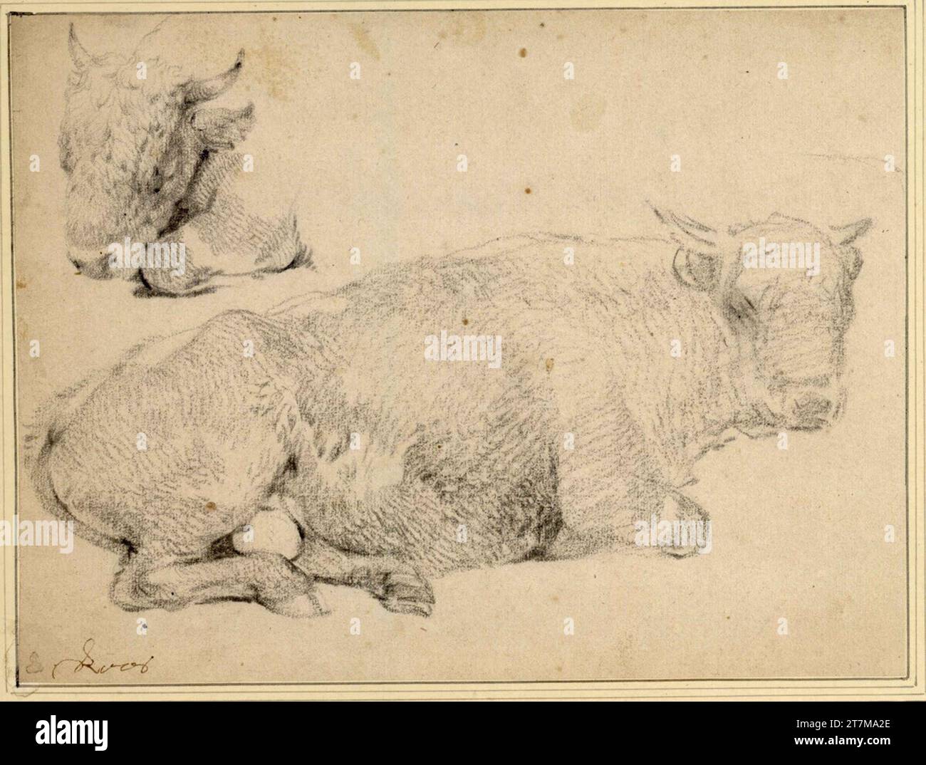 Theodor roos hi-res stock photography and images - Alamy